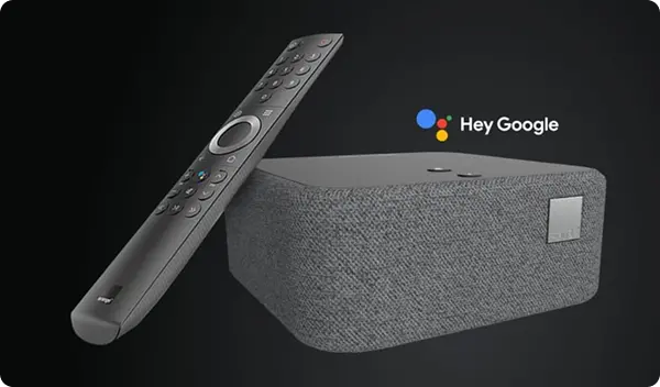 Servizo de R Infinity HomeBox